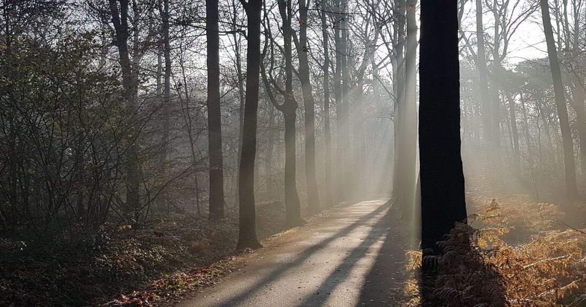 Het Leen fietsroute | Routen