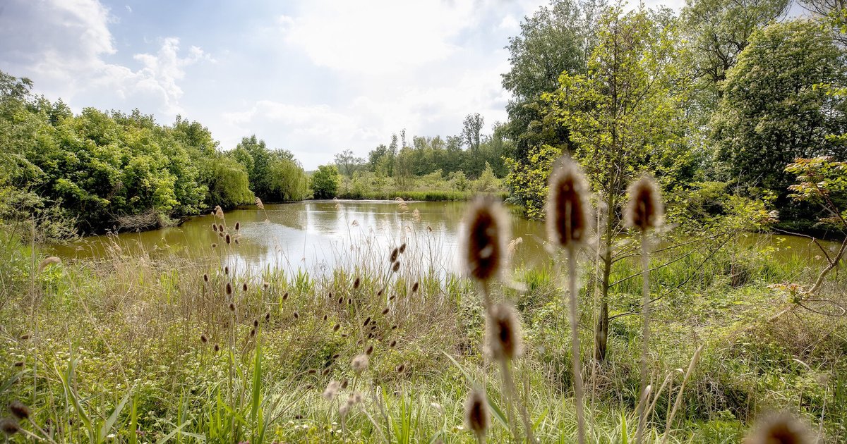 Download gratis de 6 mooiste wandelingen langs natuurgebieden in Oost ...
