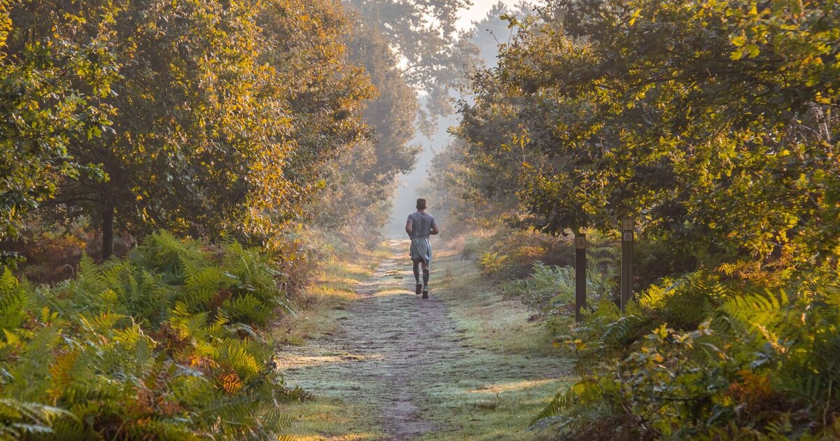 7 tips om zelf een looproute uit te stippelen | Routen